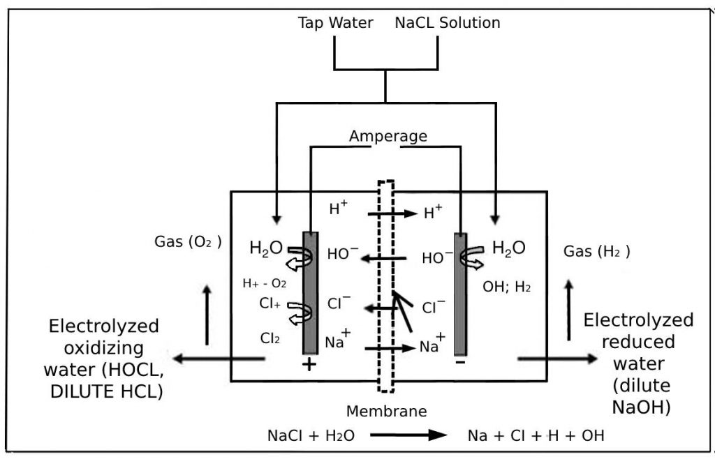 Electrolysis Study Effect on Electrolyzed Water as Disinfectant and ...